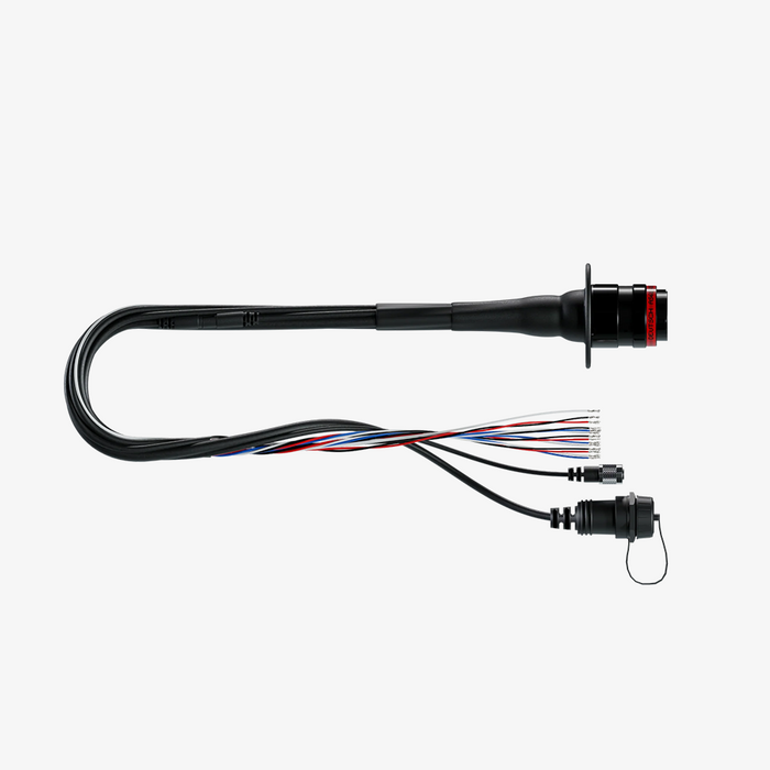 Formula Steering Wheel 4 Car side Harness | AimShop.com